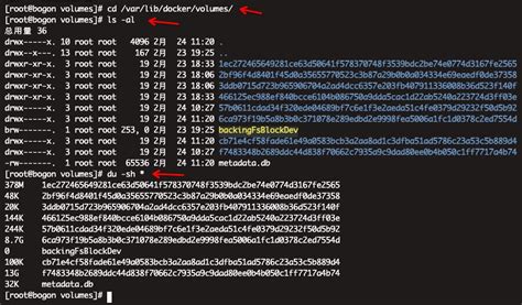 不小心删除了docker容器怎么恢复？docker Rm F 误删了容器怎么恢复卓有成效的程序员的博客 Csdn博客