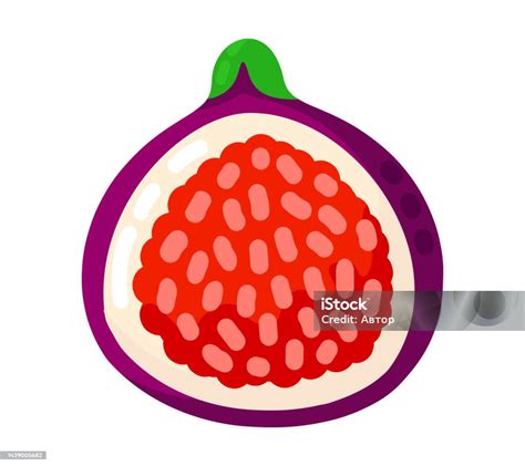 화려한 만화 무화과 과일 아이콘은 흰색 배경에 격리되어 있습니다 낙서 간단한 벡터 여름 육즙 음식 주스 패키지 또는 로고 디자인 요소 무화과에 대한 스톡 벡터 아트 및 기타