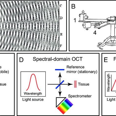 Interferometry And The Three Strategies For Oct Signal Processing A