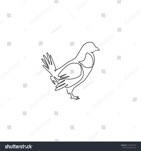 One Continuous Line Drawing Funny Grouse Stock Vector Royalty Free 1495397273 Shutterstock