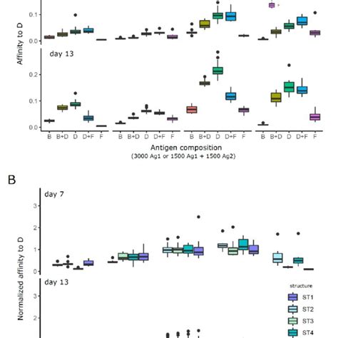 Affinity Of Gc B Cells To Antigen D In Gc Simulations With Different Download Scientific
