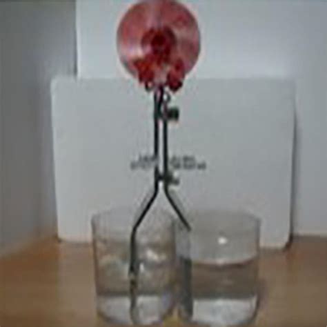 장난감완구자연과학놀이과학키트