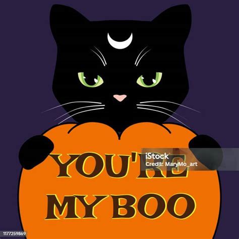 검은 고양이와 조각 호박 할로윈 카드입니다 벡터 일러스트레이션 10월에 대한 스톡 벡터 아트 및 기타 이미지 10월 가공의 인물 가을 Istock