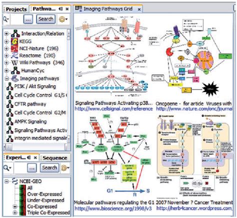 Figure 1 From Bioinformatics Applications Note Data And Text Mining Mining And Integration Of