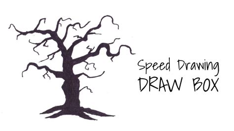 40 Easy Tree Drawing Ideas How To Draw A Tree Blitsy