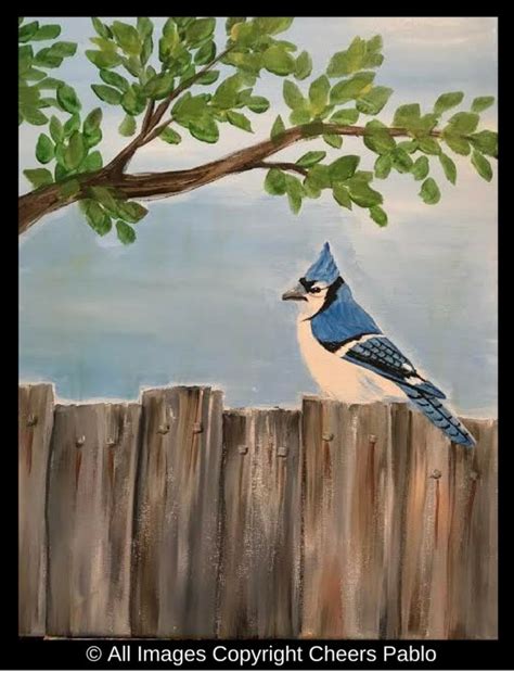 Blue Jay Starry Night Studio