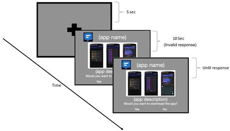 Visualization Of The Dynamic Brain Activation Pattern During A Decision Making Task