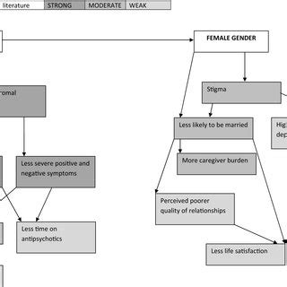 Conceptual Framework Possible Associations Of Female Sex And Female Download Scientific