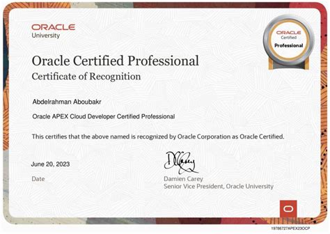 Abdulrahman Khalifa On Linkedin Orclapex Oracledatabase Oracledeveloper Oracle Oraclecloud