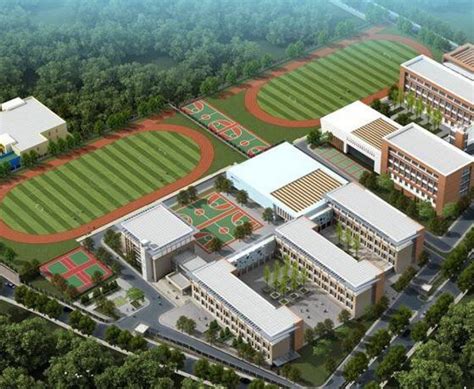 2023年青岛市崂山区育才学校小升初招生简章附招生范围