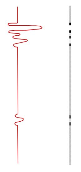 What Is The Difference Between 1D 2D And 3D Measurements