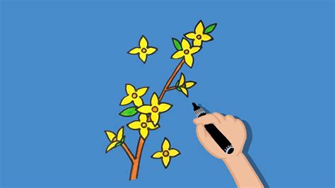 봄꽃 개나리 그리기 개나리 쉽고 예쁘게 그리기~랄라제이의 봄꽃 손그림 강좌 Youtube