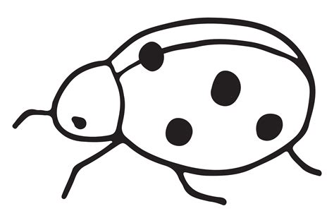 Ladybug Doodle Beetle Sketch Ladybird Graphic By Onyxproj · Creative
