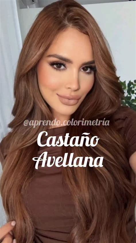 Castaño Avellana Irresistible 🌰 Para Lograrlo Debes Partir De Una Base