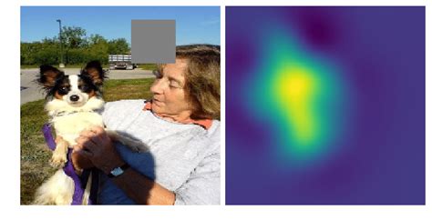 Example Of The Saliency Map Right And The Corresponding Input Image