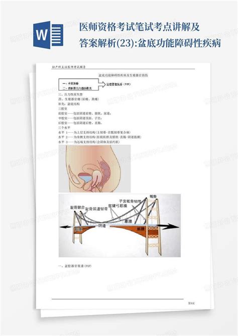 医师资格考试笔试考点讲解及答案解析 23 盆底功能障碍性疾病 Word模板下载 编号lwnemexe 熊猫办公