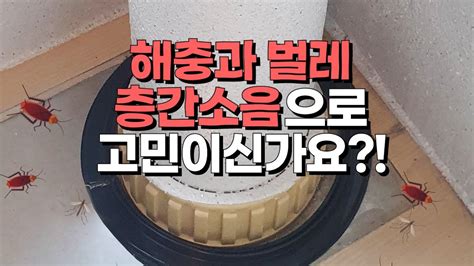 [도원드레인] 냄새 벌레 소음 완벽 차단 우수관 덮개 Youtube