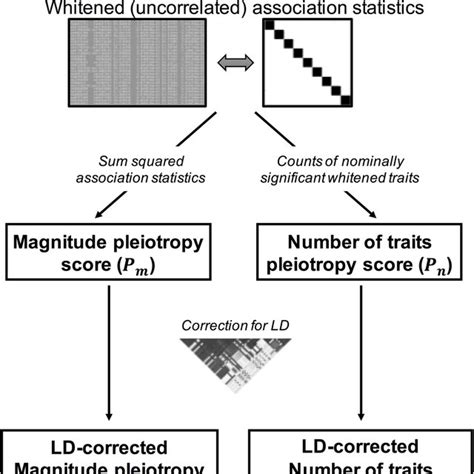 Two Component Pleiotropy Score Method We I Collect Association
