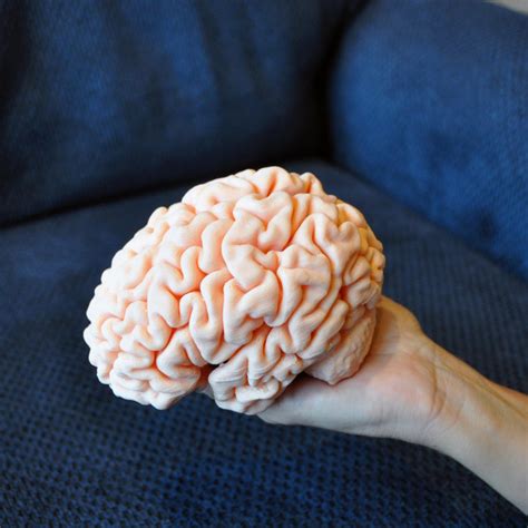 3d Printable Convert Your Ct Mri Scans To 3d Printable File By Asem