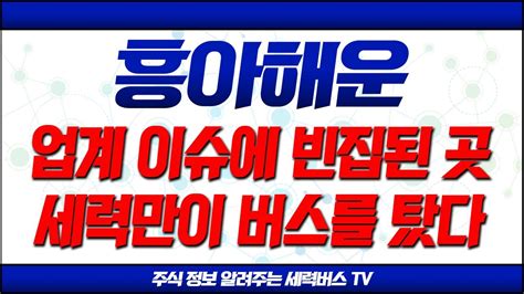 흥아해운 주가 전망 매각 이슈 없는 해운 대장주 Youtube