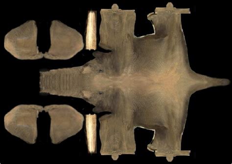 Masters Dissertation In Texturing 3d Models For A Game By Aishwarya