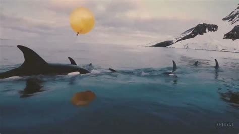 Bundan Bir Ay önce Soranın Ne Kadar Gerçekçi Produksiyonlar Yaptığı Konusunda şaşkındık