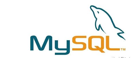 Javasqlsqlexception Month 报错解决方法 极客之音