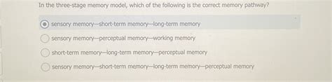 Solved In The Three Stage Memory Model Which Of The