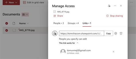 Share SharePoint File To External Email Address Power Automate