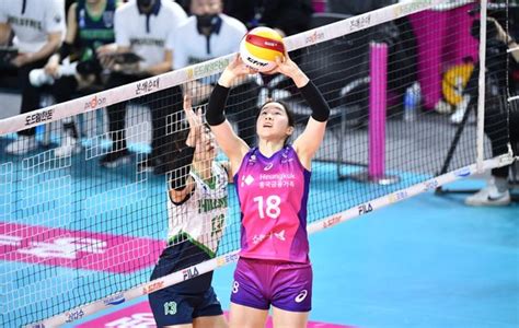배구는 세터놀음 여자부 봄배구는 젊은 세터 손에 달렸다 중앙일보