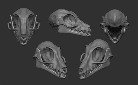 Fruit Bat Skull Fruit Bat Skull Replica Etsy Uk