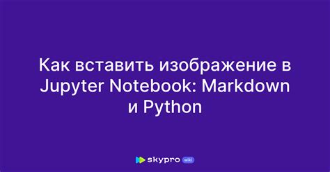 Как вставить изображение в Jupyter Notebook Markdown и Python