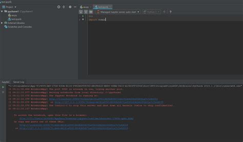 Managed Jupyter Server Fails To Start In Pycharm 20191 Ides Support