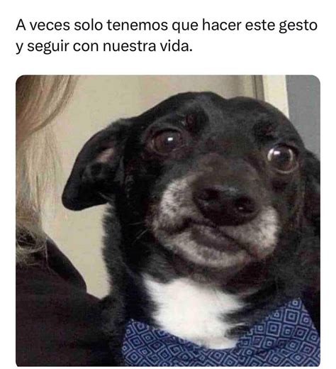 A Veces Solo Tenemos Que Hacer Este Gesto Y Seguir Con Nuestra Vida