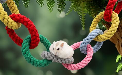 Dnoifne Sugar Glider Hanging Six Ring Climbing Toys