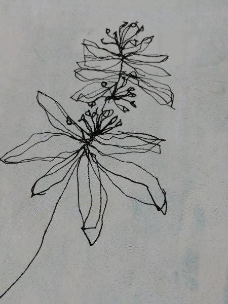 Mittwochsmix Summercamp Woche 2 And Interview Mit Ali Baecker Nahtlust