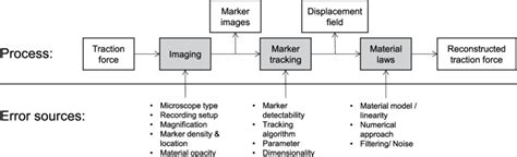 Schematic Block Diagram Of The 3 Step Tfm Process During Each Of The Download Scientific