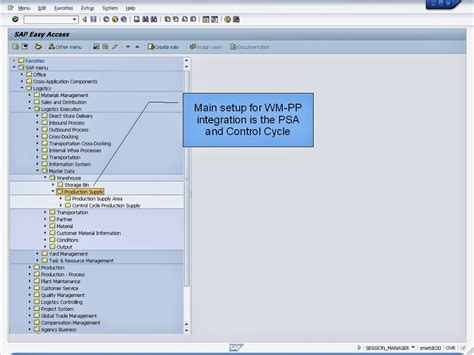 青蛙sap分享 Froggys Sap Sharing Wms Wm Pp Integration Concepts