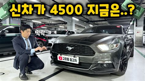 감가 야무지게 맞은 포드 머스탱 중고차 장단점 가격 Youtube