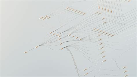 Visualizing Intelligence Exploration Of Cnns