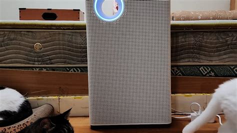 수제로 만든 에코백 구경하러 오이소~~ Youtube