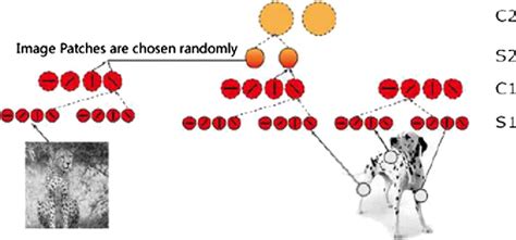 Figure 1 From Biologically Inspired Features For Scene Classification
