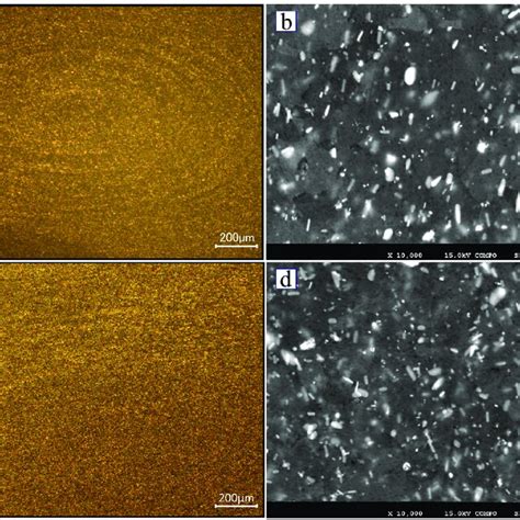 The Optical And Sem Micrographs Related To The Microstructure Of The Download Scientific
