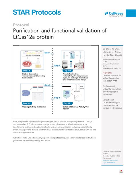 PDF Purification And Functional Validation Of LtCas12a Protein