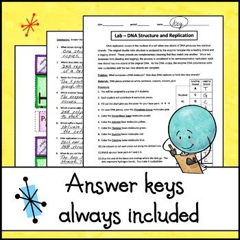 Lab Activity DNA Structure And Replication By The Skye World Science
