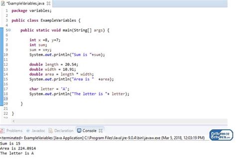 Difference Between Variables And Data Literals In Java