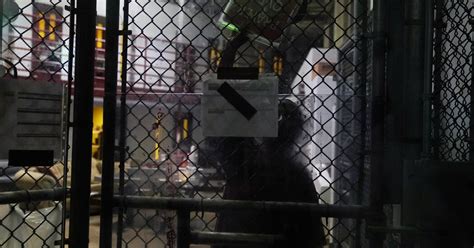 Guantánamo Bay Explained The Costs The Captives And Why Its Still