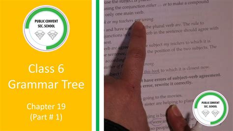 Grammar Tree Class 6 Chapter 19 Conjunctions Part 1 Youtube