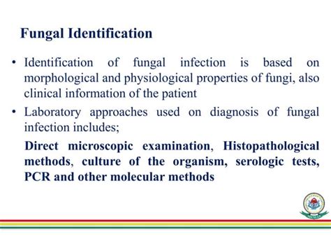 12 Fungal Identification Methods New Ppt
