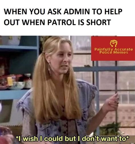 Painfully True Meme Rprotectandserve